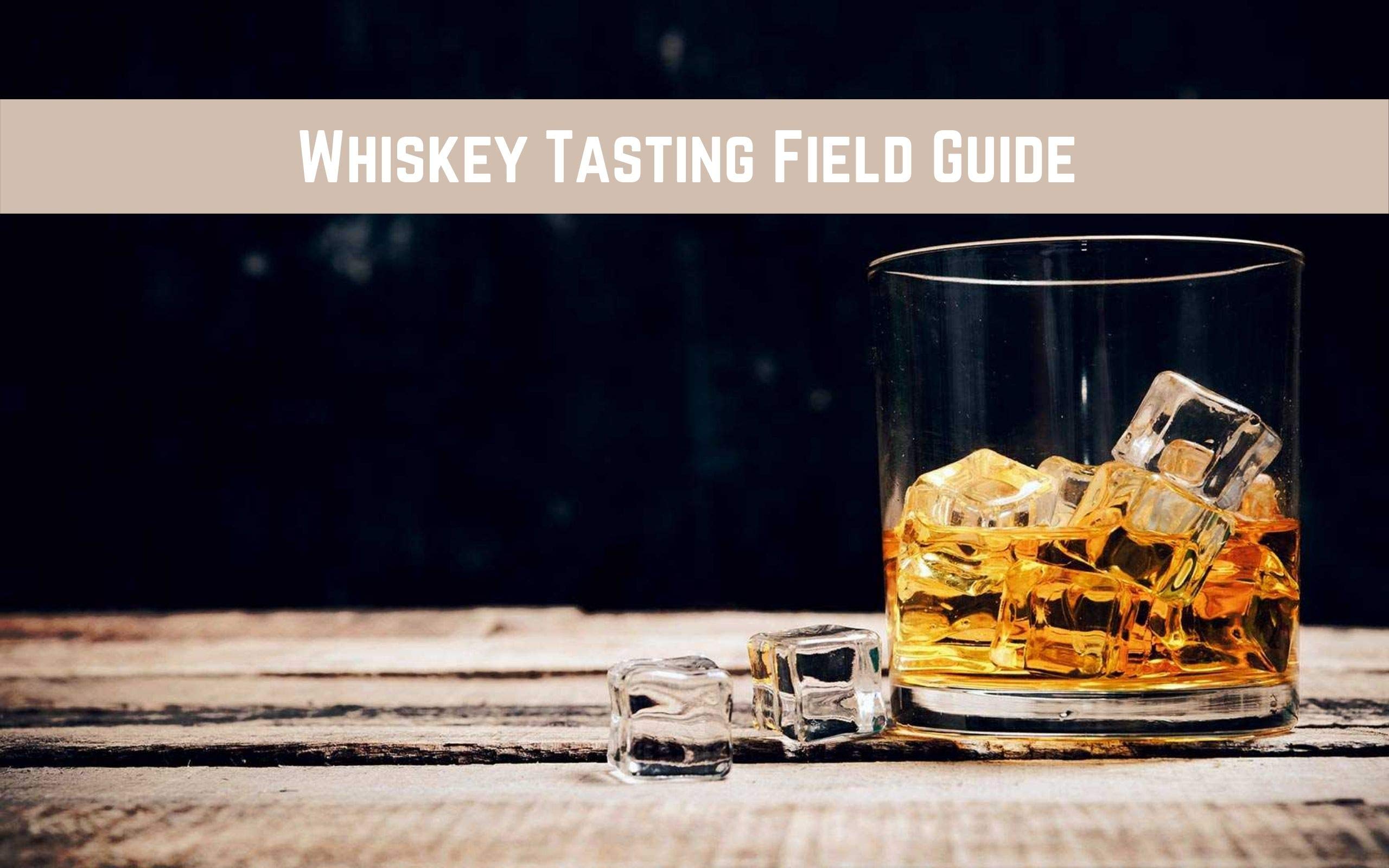 Whiskey Tasting Field Guide : How To Taste Whiskey Like A Pro & Host A ...