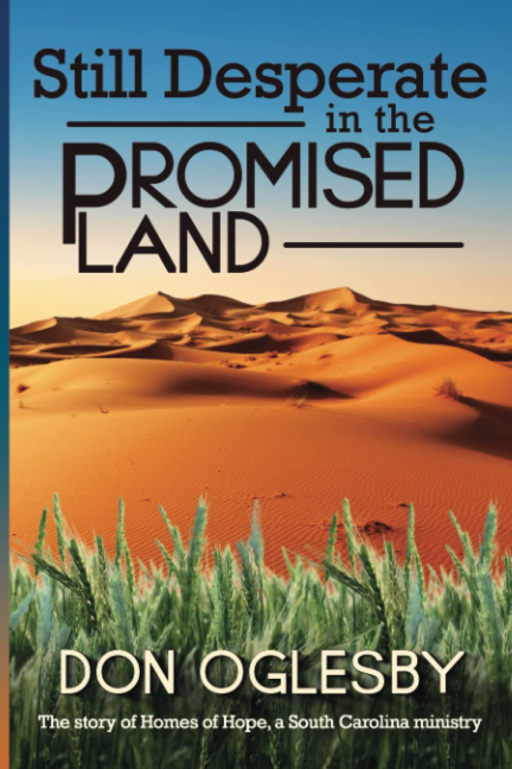 Still Desperate in the Promised Land: The story of Homes of Hope, a ...