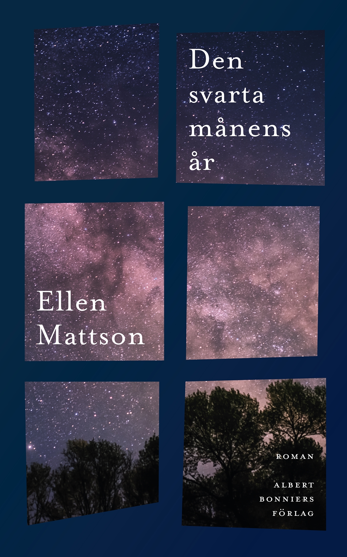 Den svarta månens år by Ellen Mattson | Goodreads