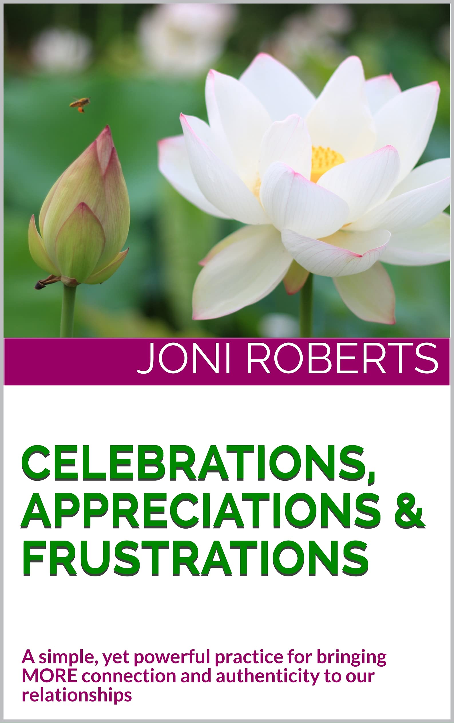 Celebrations, Appreciations & Frustrations: A simple, yet powerful ...