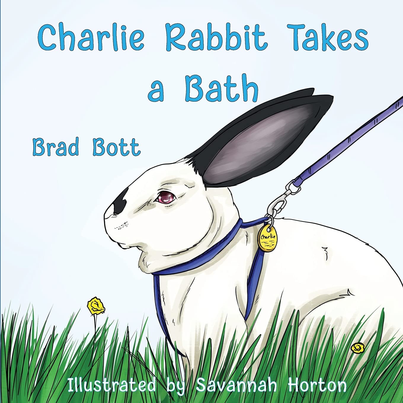 Charlie Rabbit Takes a Bath by Brad Bott | Goodreads