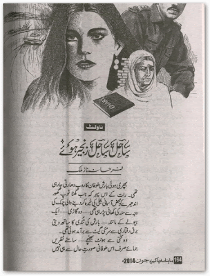 Sahi Sahil Zanjeer Hoey by Farhana Naaz Malik | Goodreads
