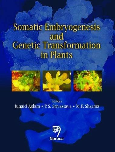 Somatic Embryogenesis and Genetic Transformation in Plants by Junaid ...