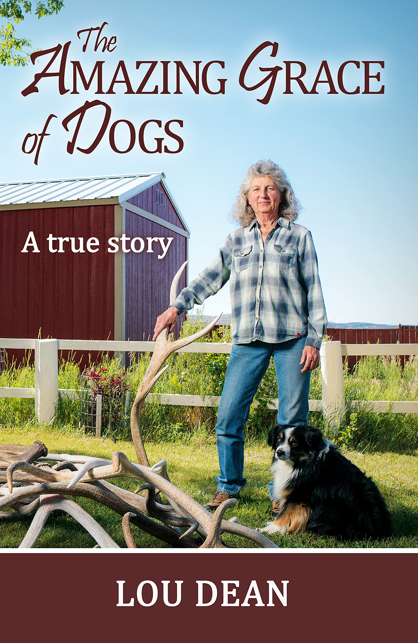The Amazing Grace of Dogs: A True Story by Lou Dean | Goodreads