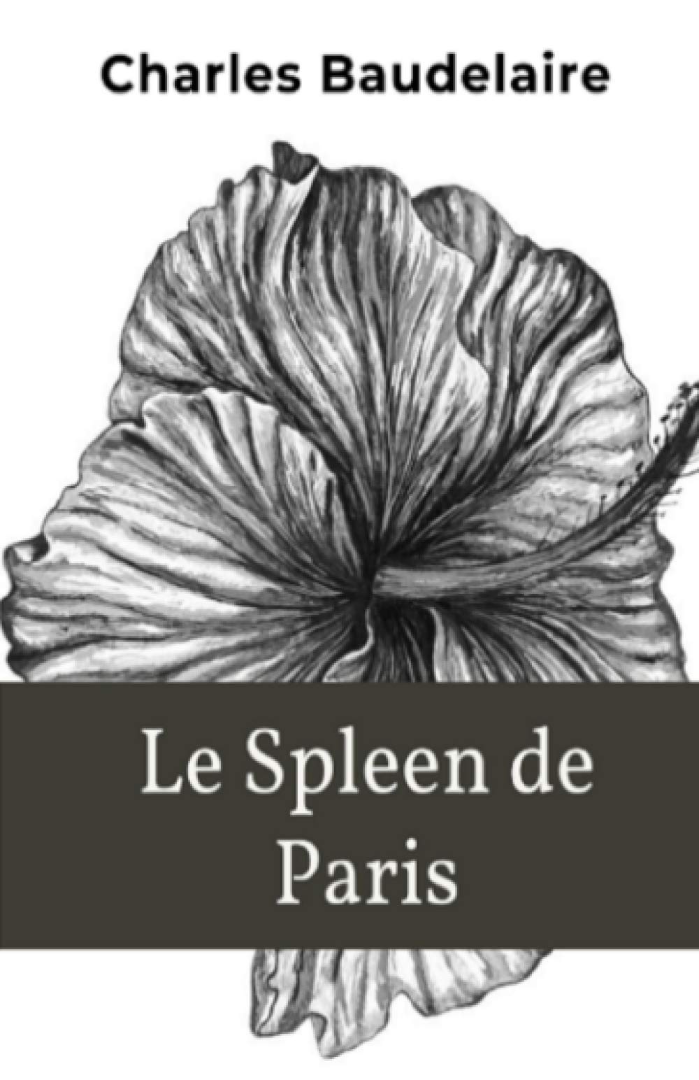Le Spleen de Paris: Petits Poèmes en prose by Charles Baudelaire ...