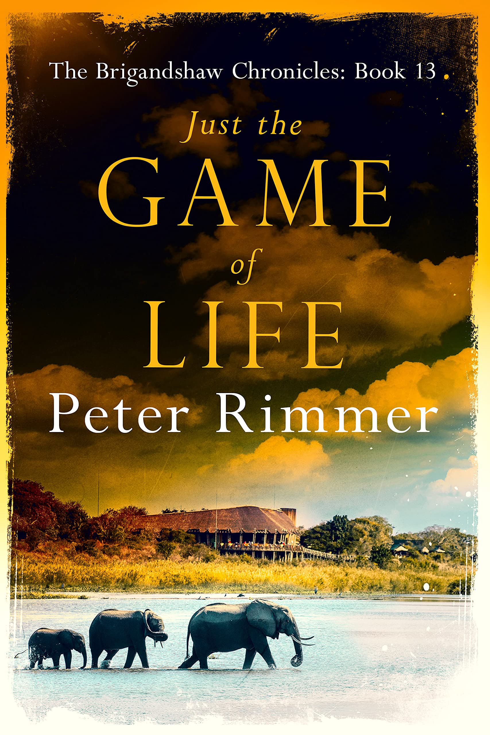 Just the Game of Life by Peter Rimmer | Goodreads