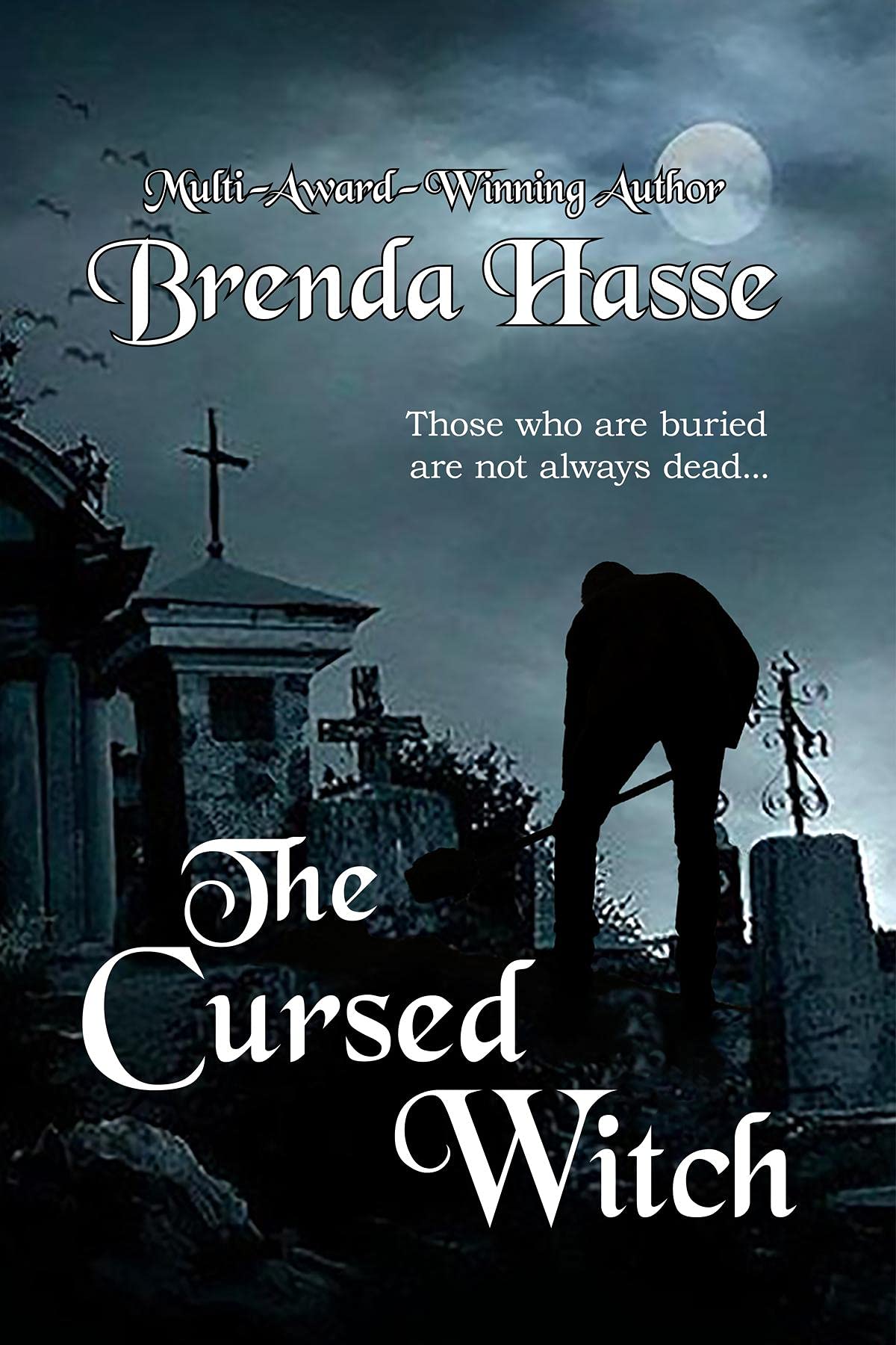 The Cursed Witch (The Town Witch Trilogy Book 2) by Brenda Hasse ...