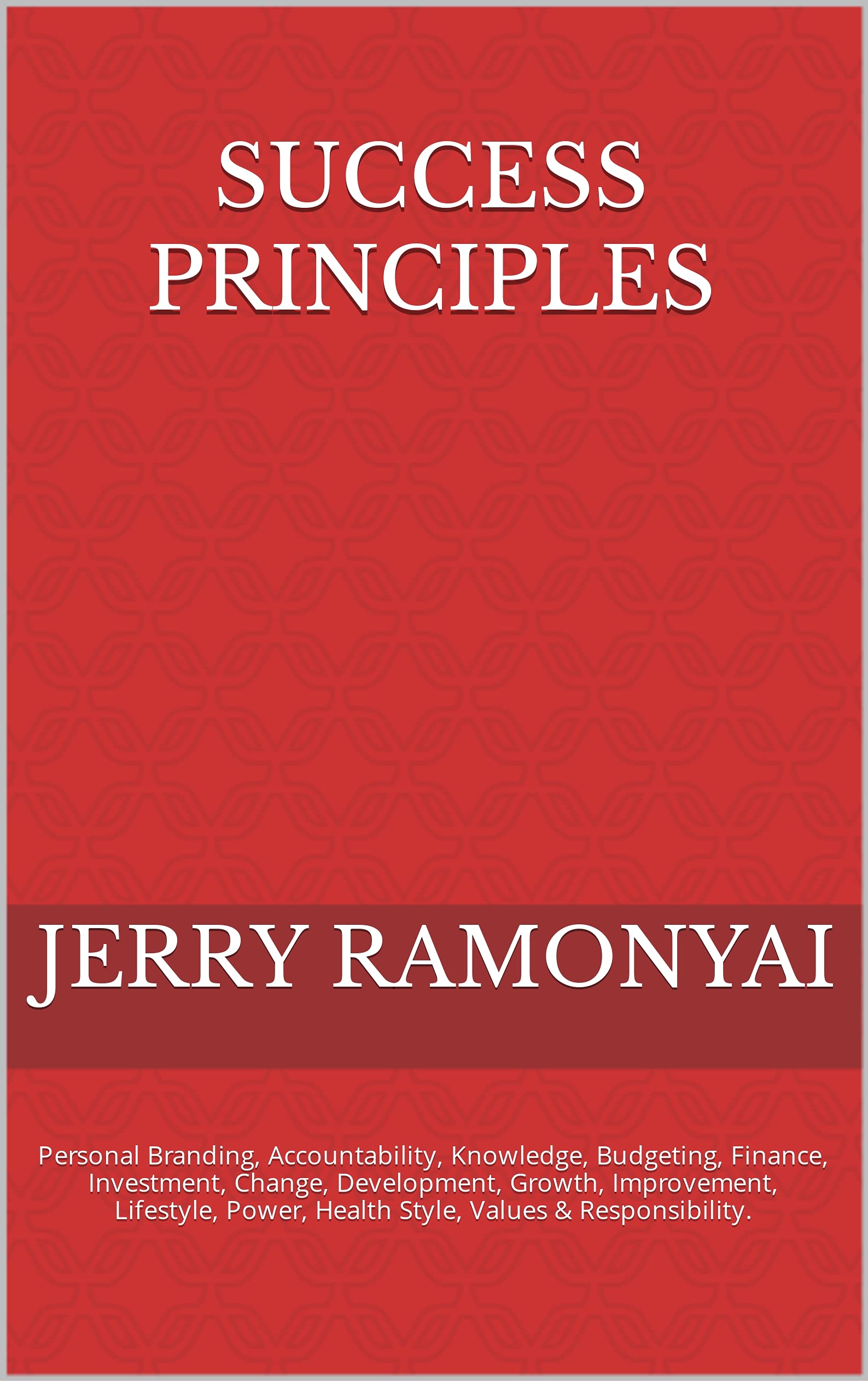 Success Principles: Personal Branding, Accountability, Knowledge ...