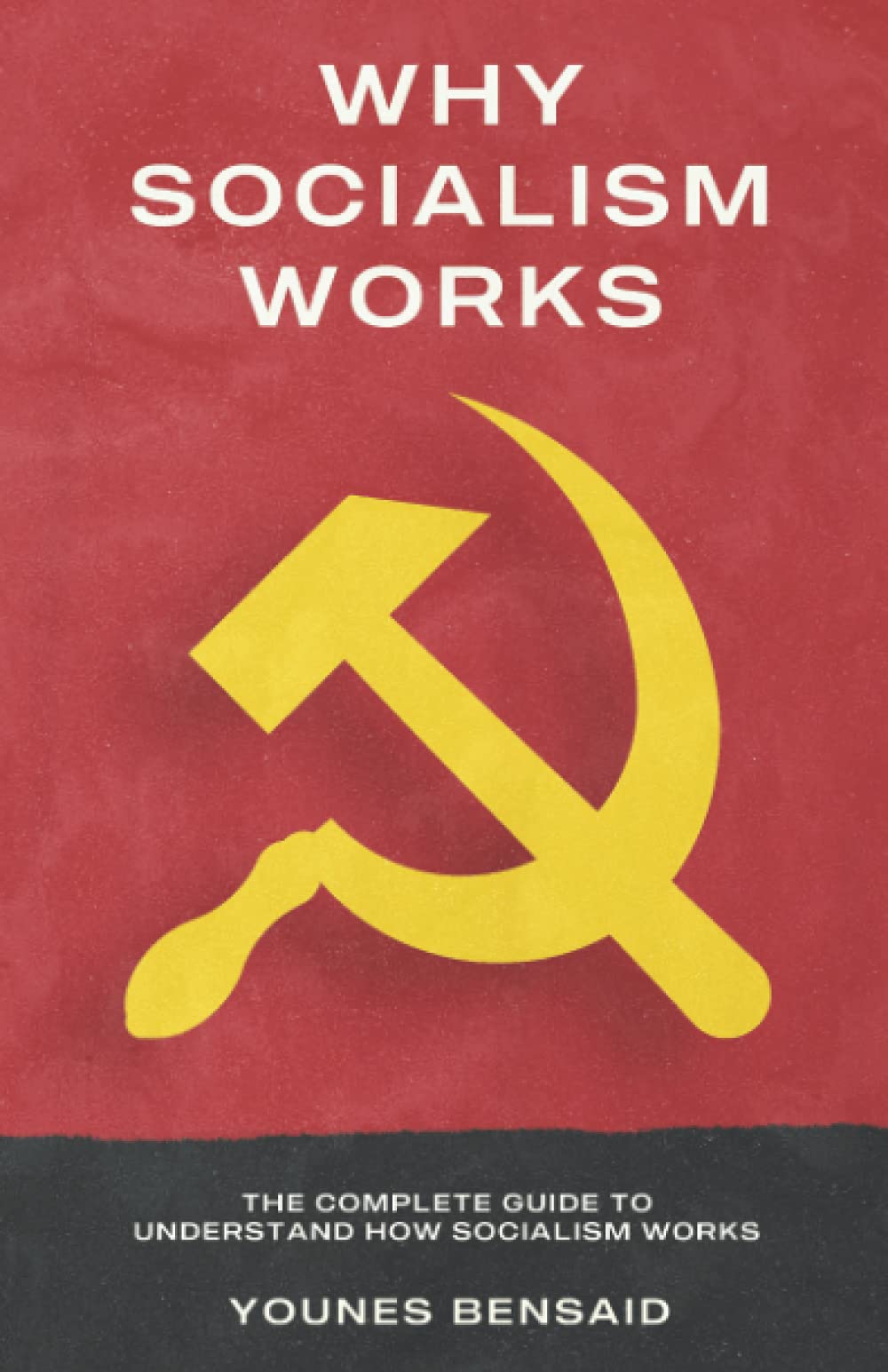 WHY SOCIALISM WORKS: THE COMPLETE GUIDE TO UNDERSTAND HOW SOCIALISM ...