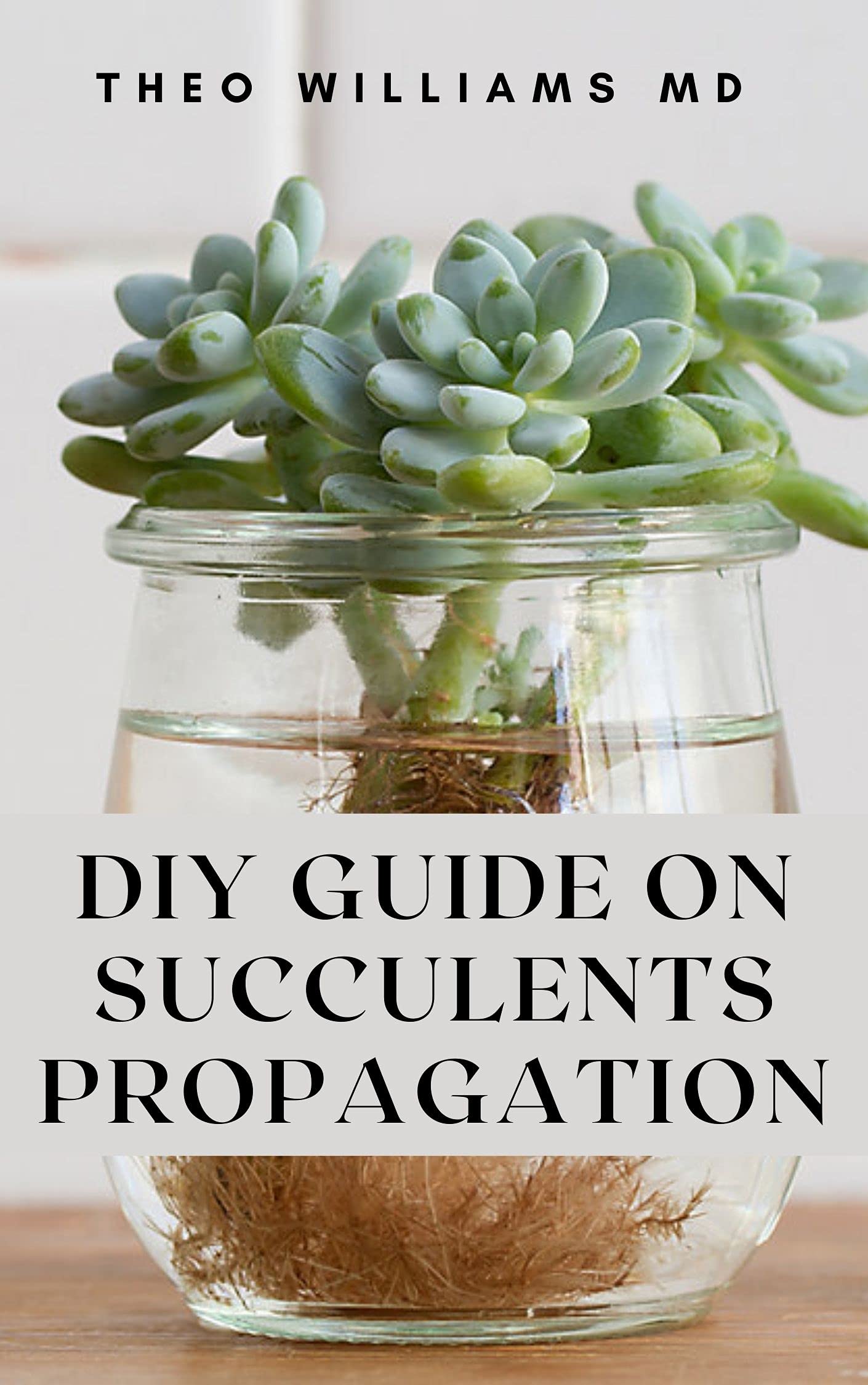 DIY GUIDE ON SUCCULENTS PROPAGATION: All You Need To Know About The ...