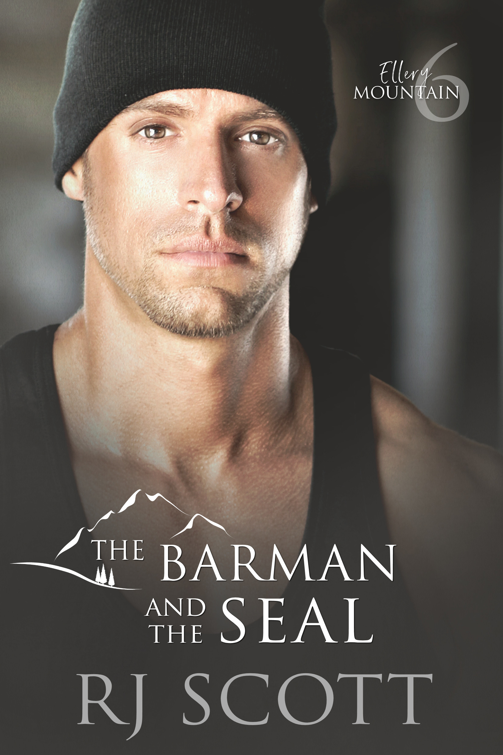 The Barman and the SEAL (Ellery Mountain #6) by R.J. Scott | Goodreads