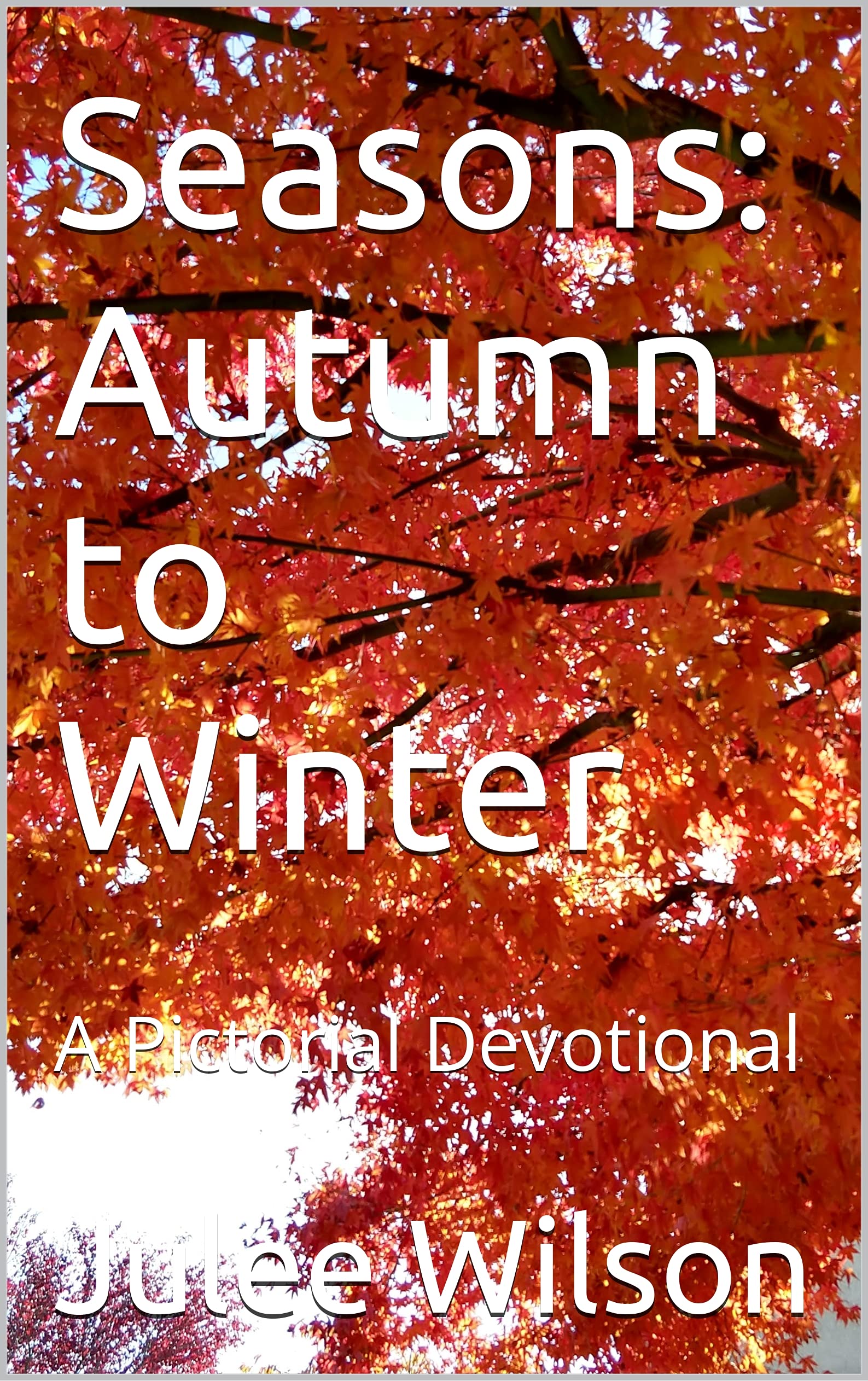 Seasons: Autumn to Winter: A Pictorial Devotional by Julee Wilson ...