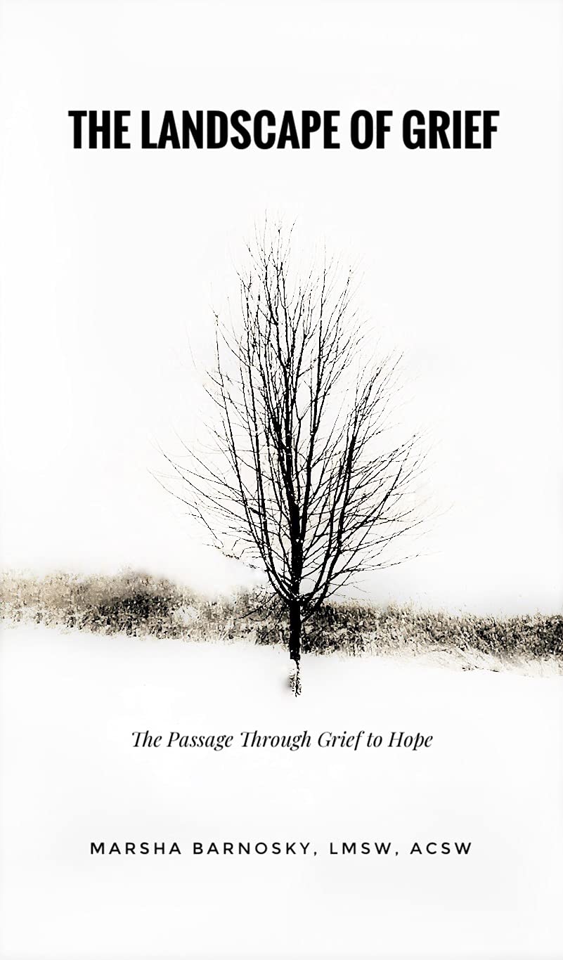 THE LANDSCAPE OF GRIEF: The Passage Through Grief to Hope by Marsha ...