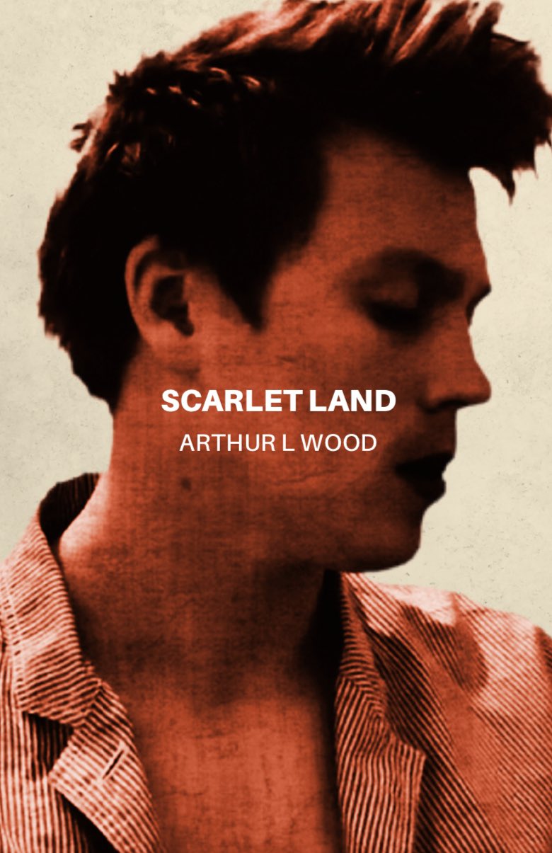 Scarlet Land by Arthur L Wood | Goodreads