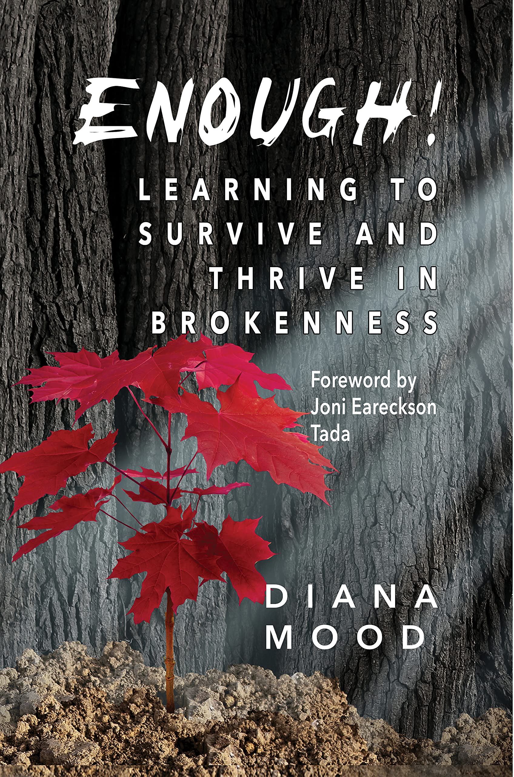 Enough!: Learning to Survive and Thrive in Brokenness by Diana Mood ...