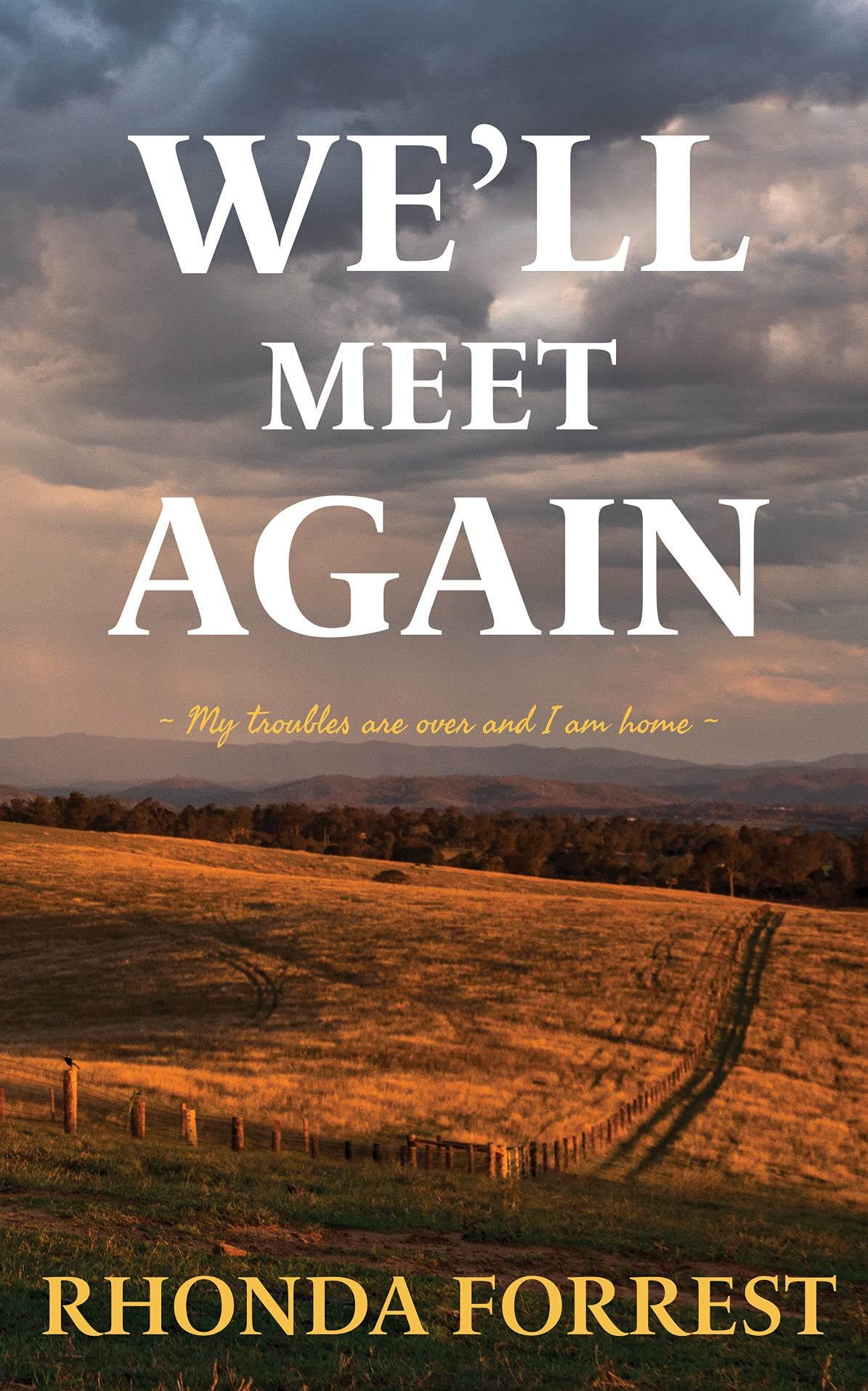 We'll Meet Again (We'll Meet Again #3) by Rhonda Forrest | Goodreads