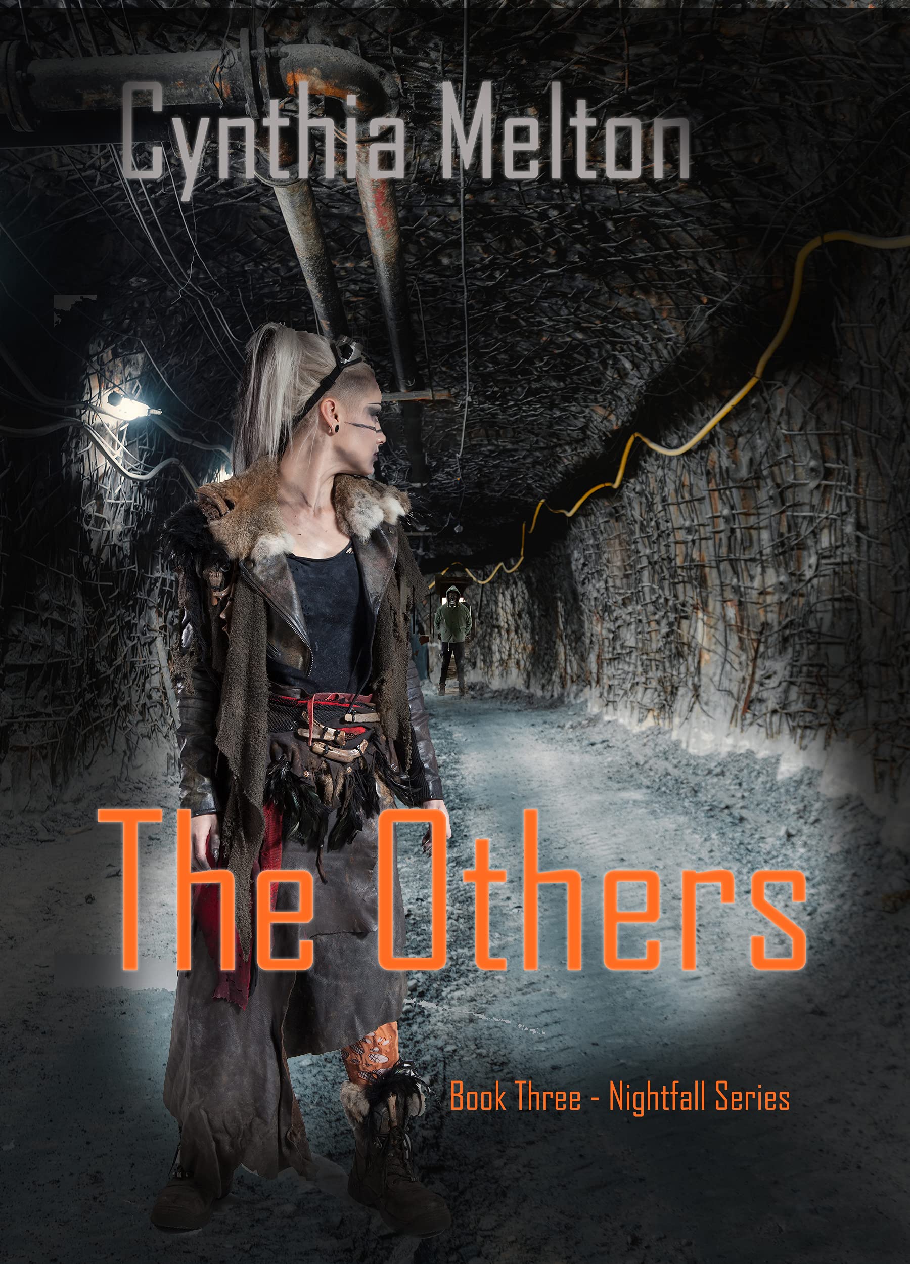 The Others (Nightfall Book 3) by Cynthia Melton | Goodreads