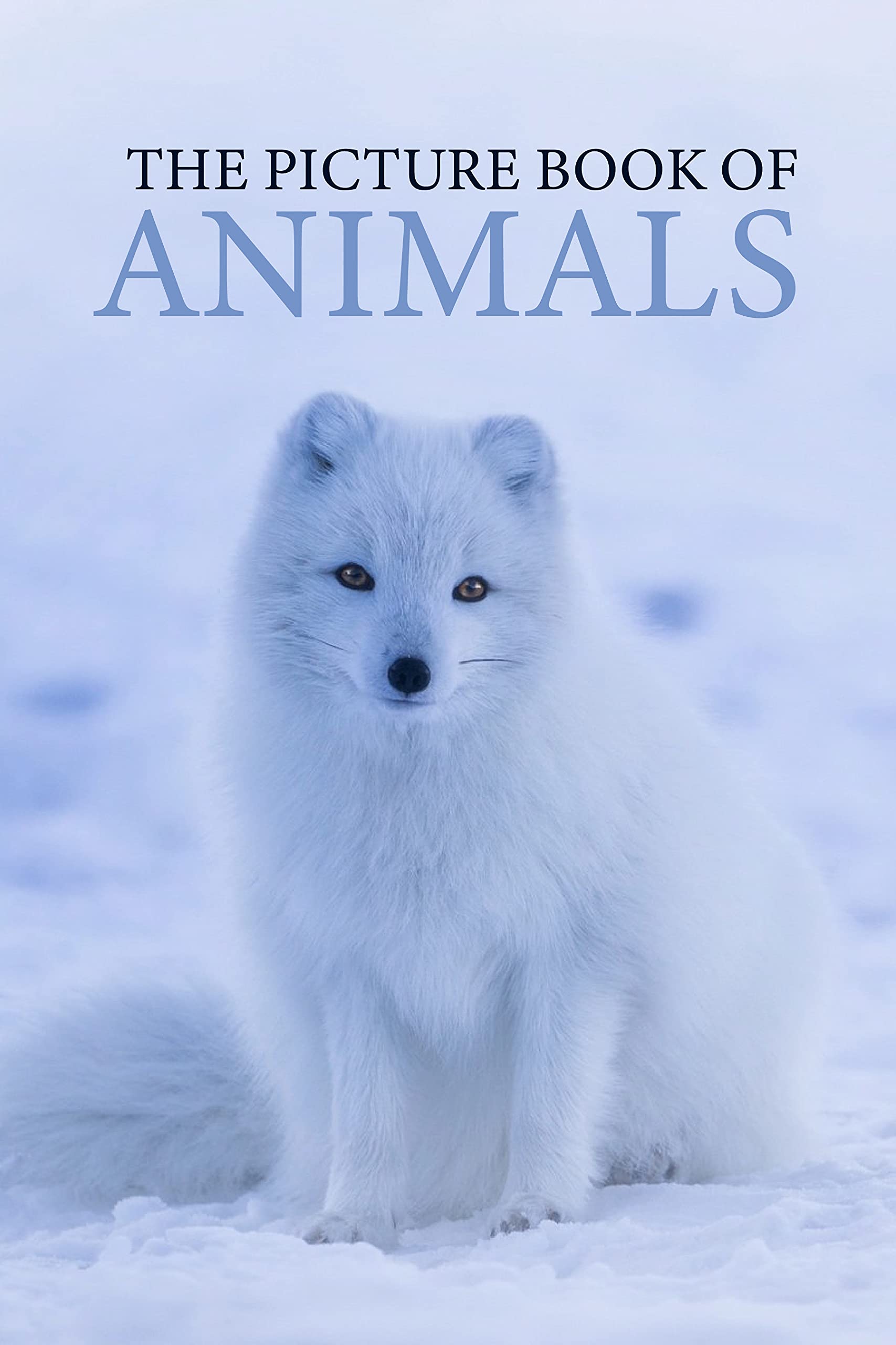 The Picture Book Of Animals: A Beautiful Gift Book For Retired Older ...