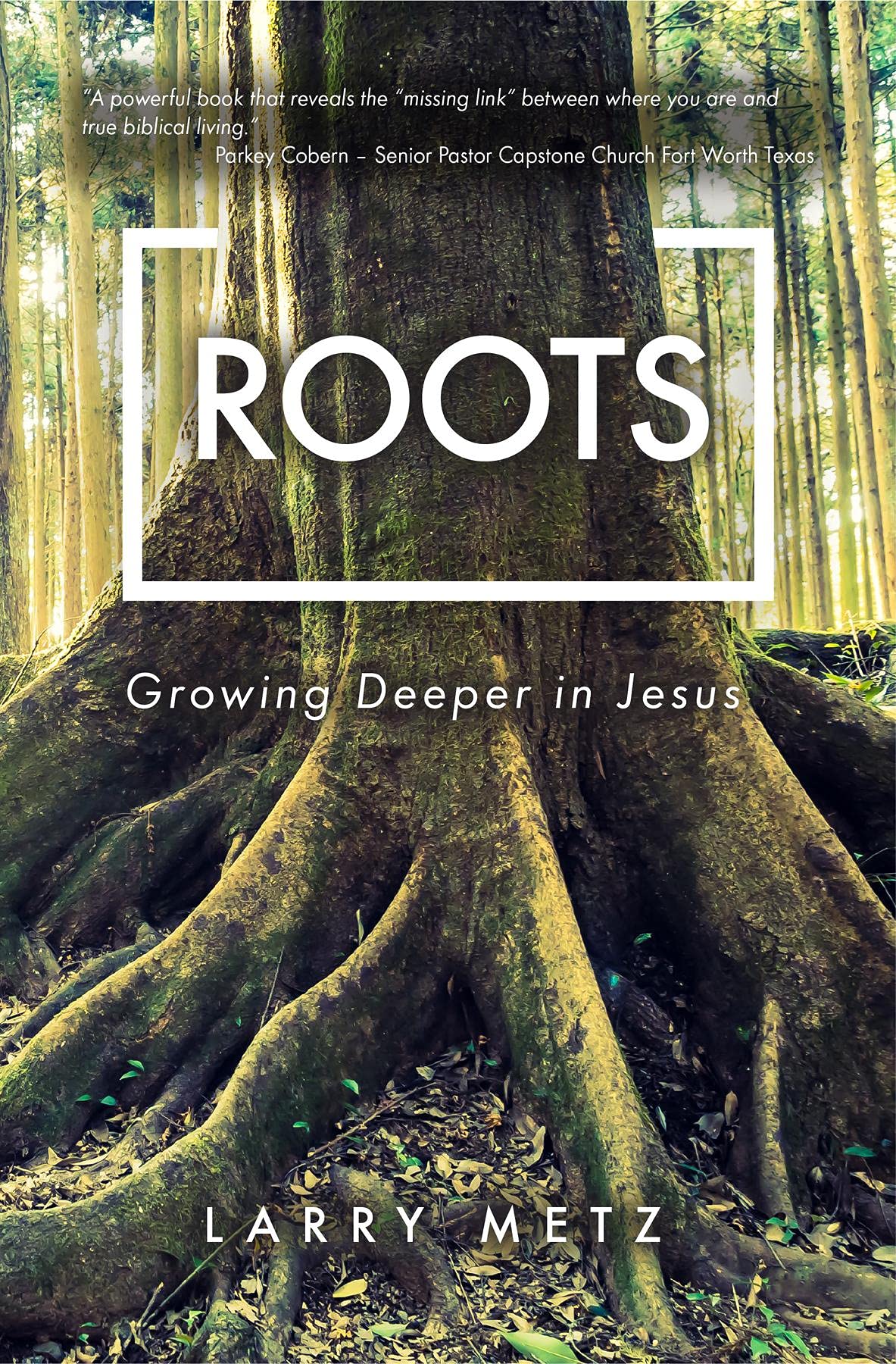Roots: Growing Deeper in Jesus by Larry Metz | Goodreads