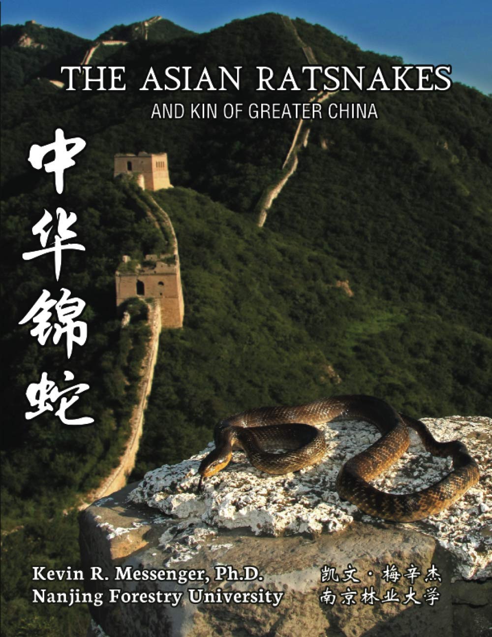 The Asian Ratsnakes and Kin of Greater China by Kevin Robert Messenger ...