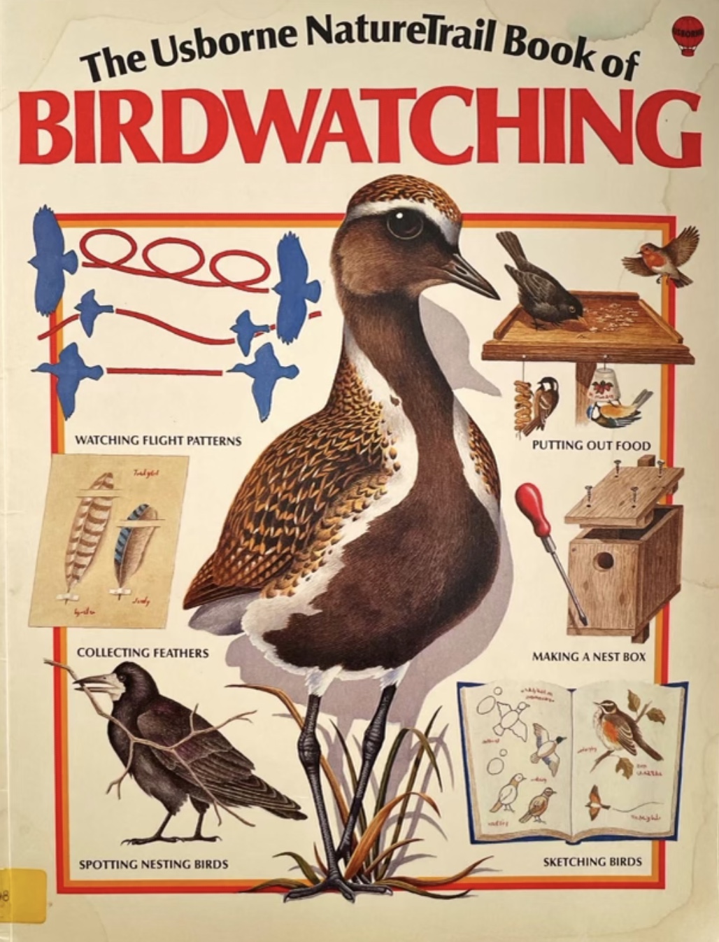 The Usborne NatureTrail Book of Birdwatching by Susanna Davidson ...