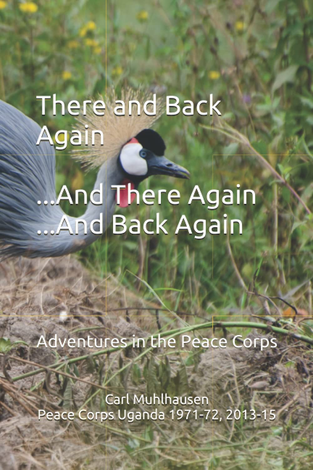 There and Back Again... And There Again...And Back Again: Adventures in ...