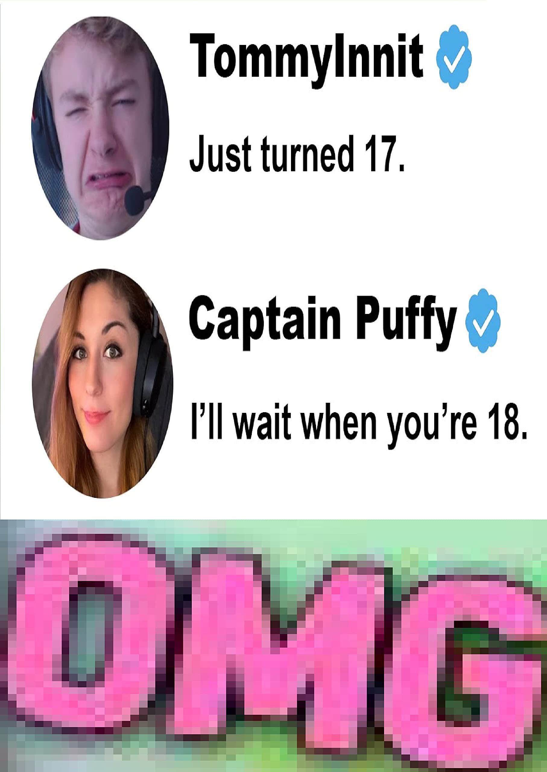 DREAM SMP TWEETS Comic and Jokes #1: The Best text fails Joke Book For ...