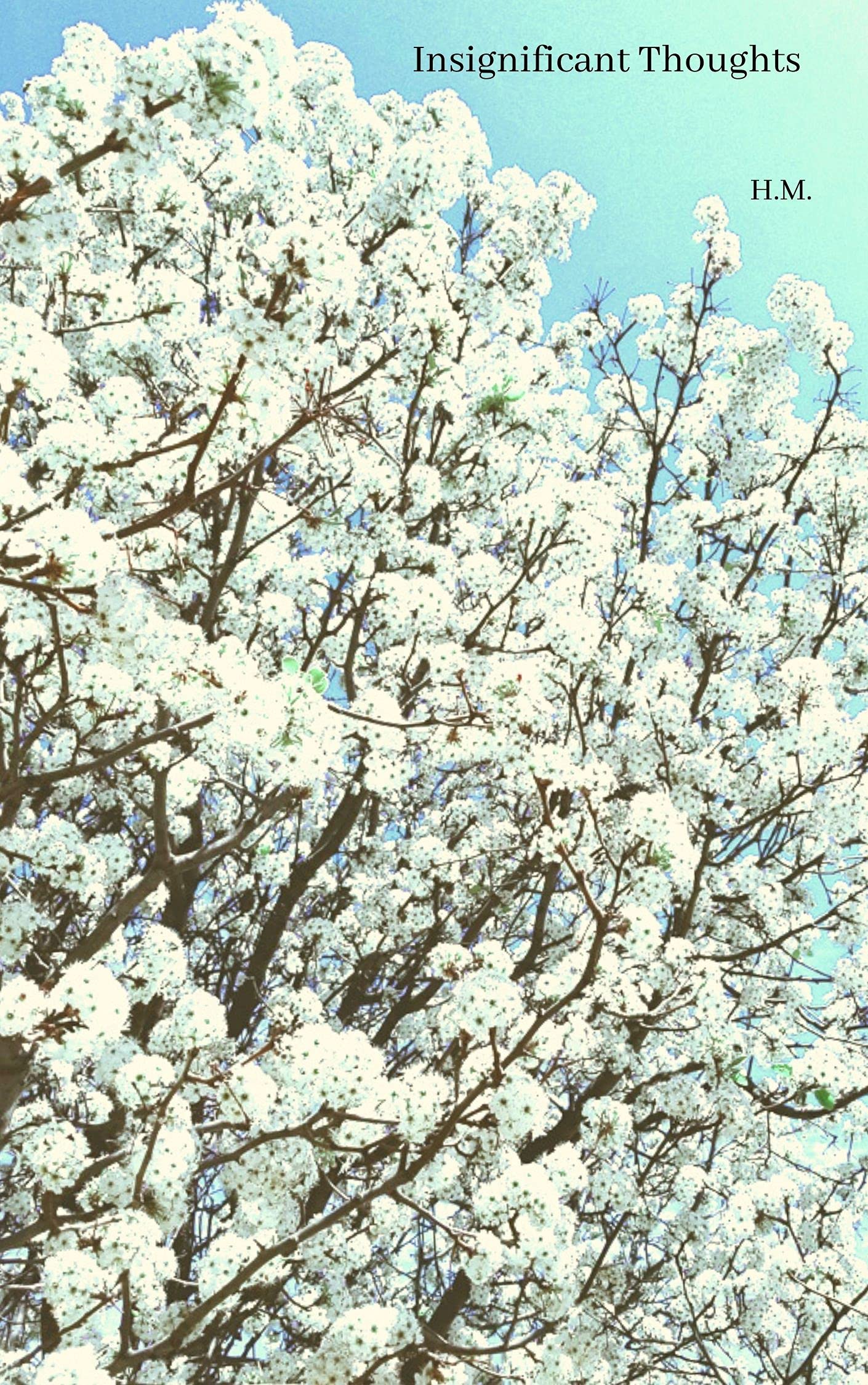 Insignificant Thoughts by Hillary M. | Goodreads