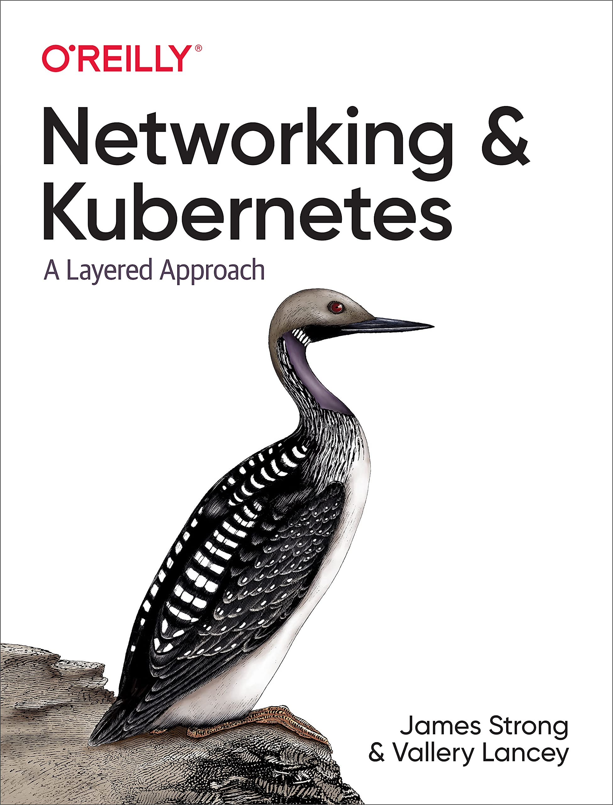 Networking And Kubernetes A Layered Approach By James Strong Goodreads