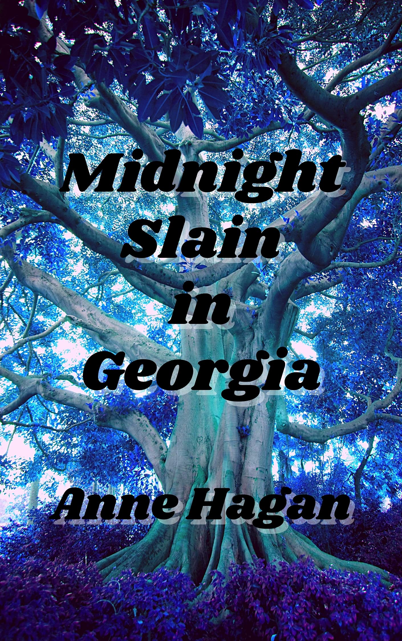 Midnight Slain in Georgia by Anne Hagan | Goodreads