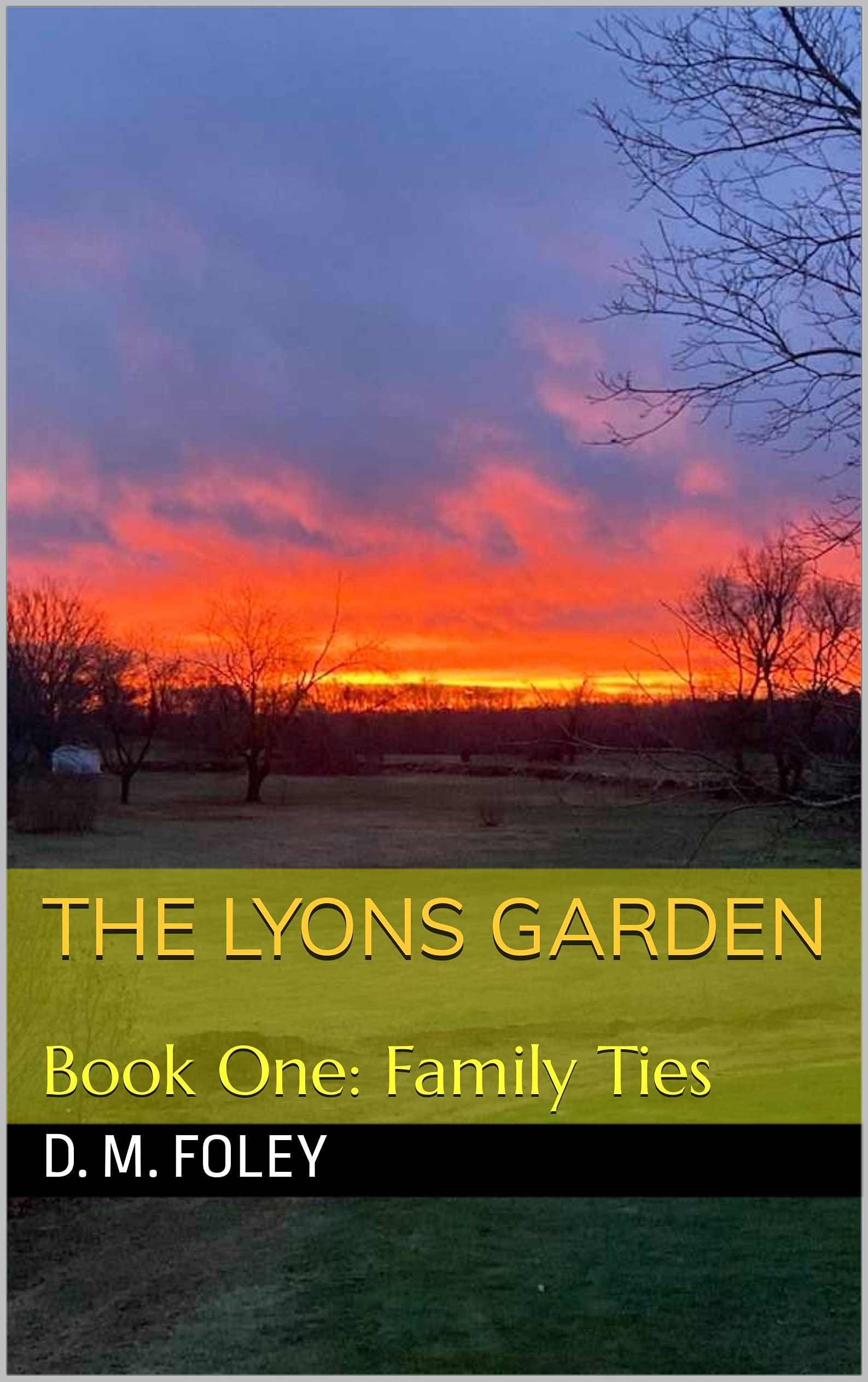 The Lyons Garden: Book One: Family Ties by D.M. Foley | Goodreads