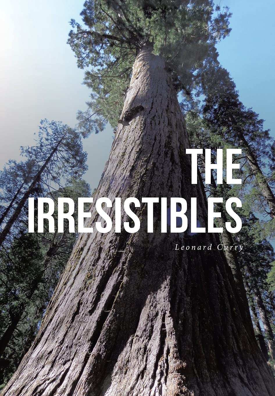 The Irresistibles by Leonard Curry | Goodreads