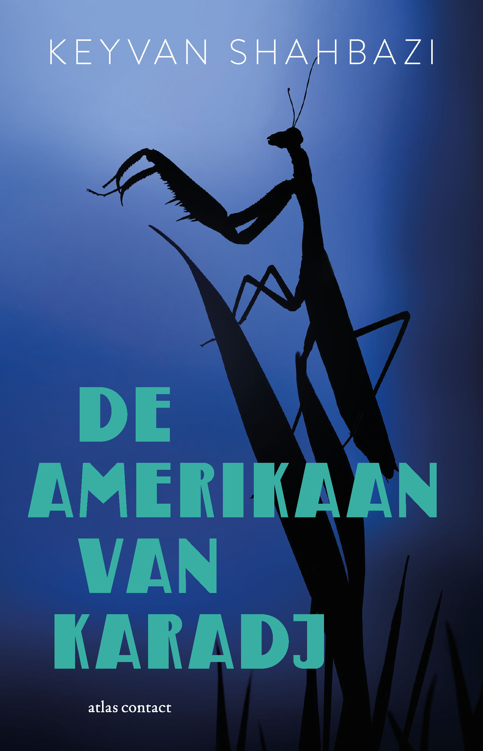 De Amerikaan van Karadj by Keyvan Shahbazi | Goodreads