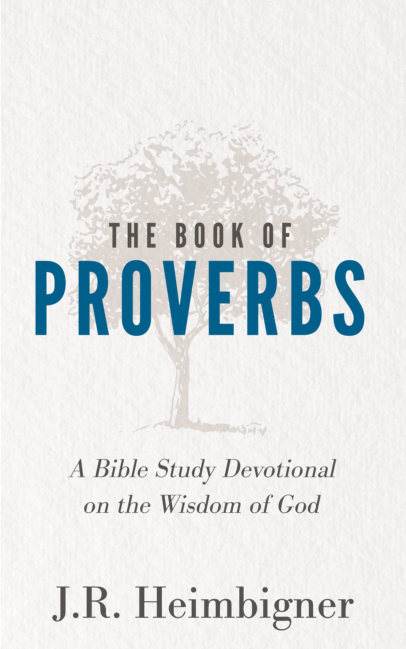 The Book Of Proverbs: A Bible Study Devotional on the Wisdom of God by ...
