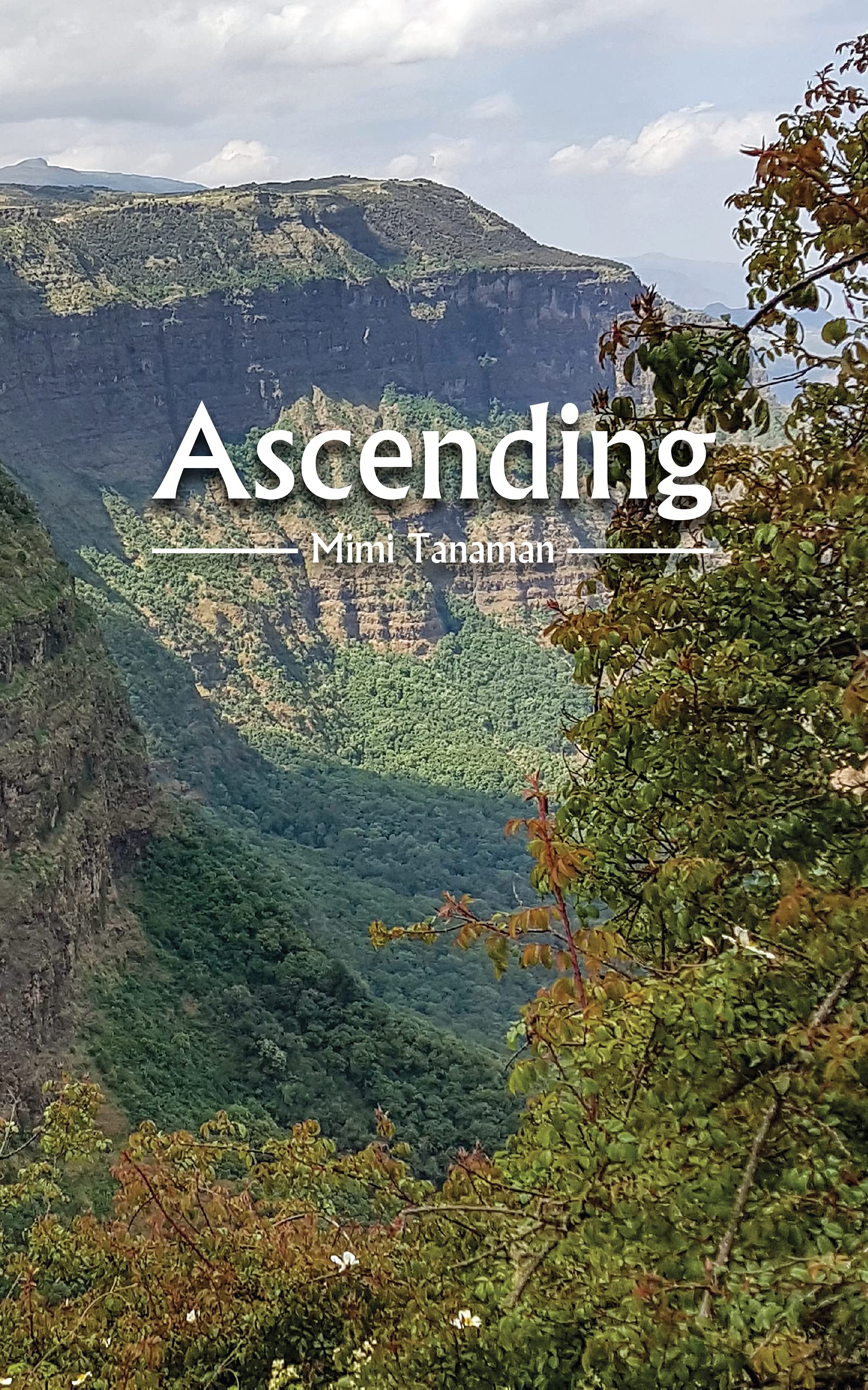 Ascending by Mimi Tanaman | Goodreads