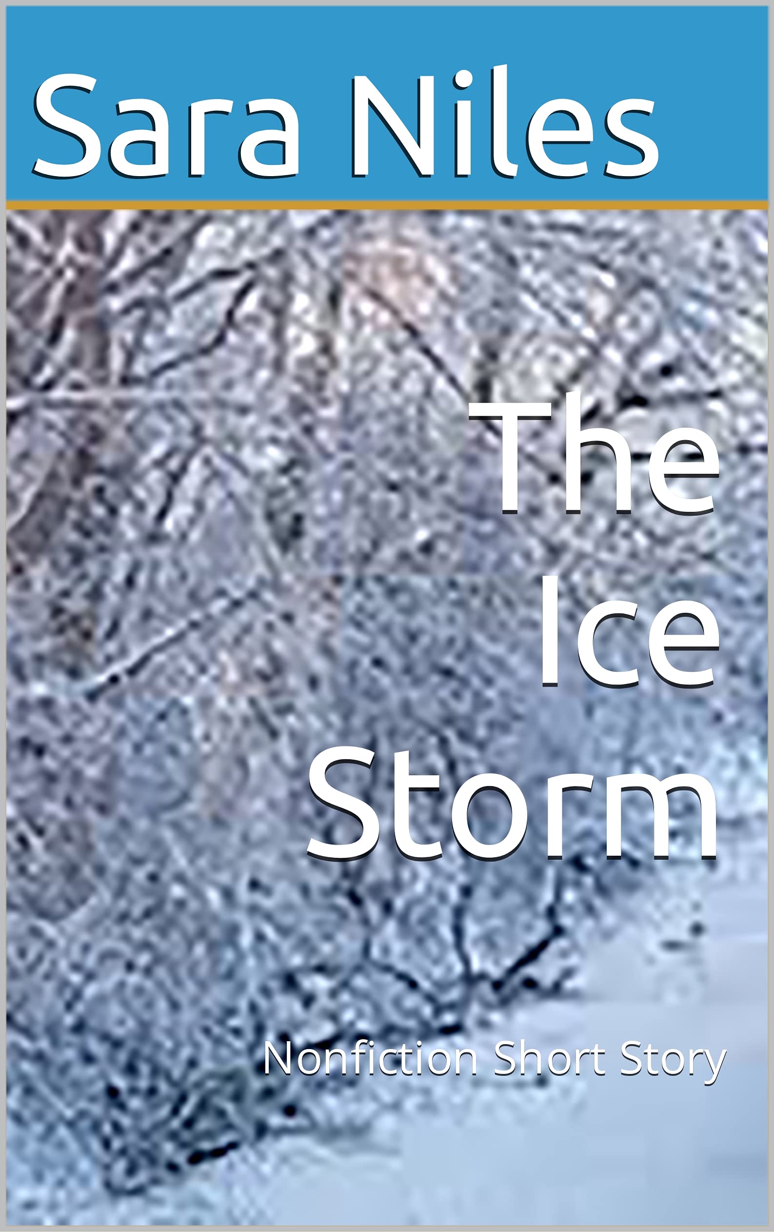 The Ice Storm: Nonfiction Short Story by Sara Niles | Goodreads