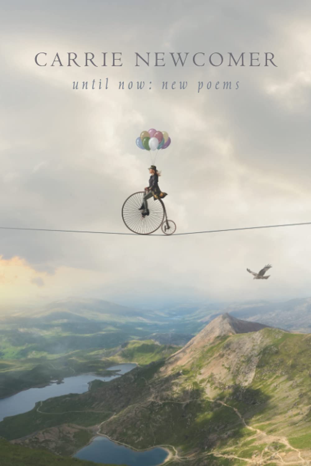 Until Now: New Poems by Carrie Newcomer | Goodreads