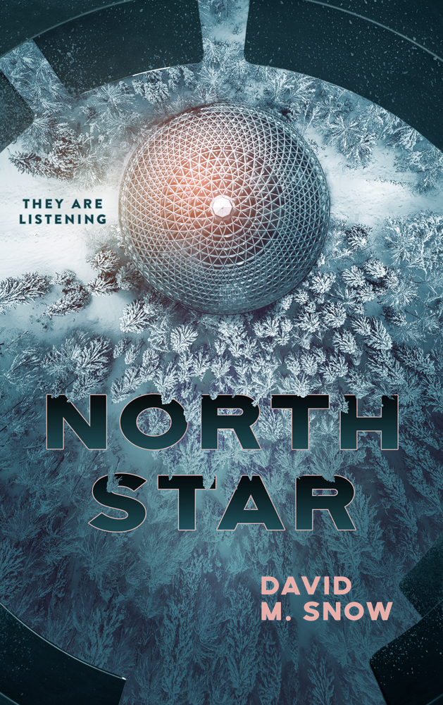 North Star (Amaranth, #2) by David M. Snow | Goodreads