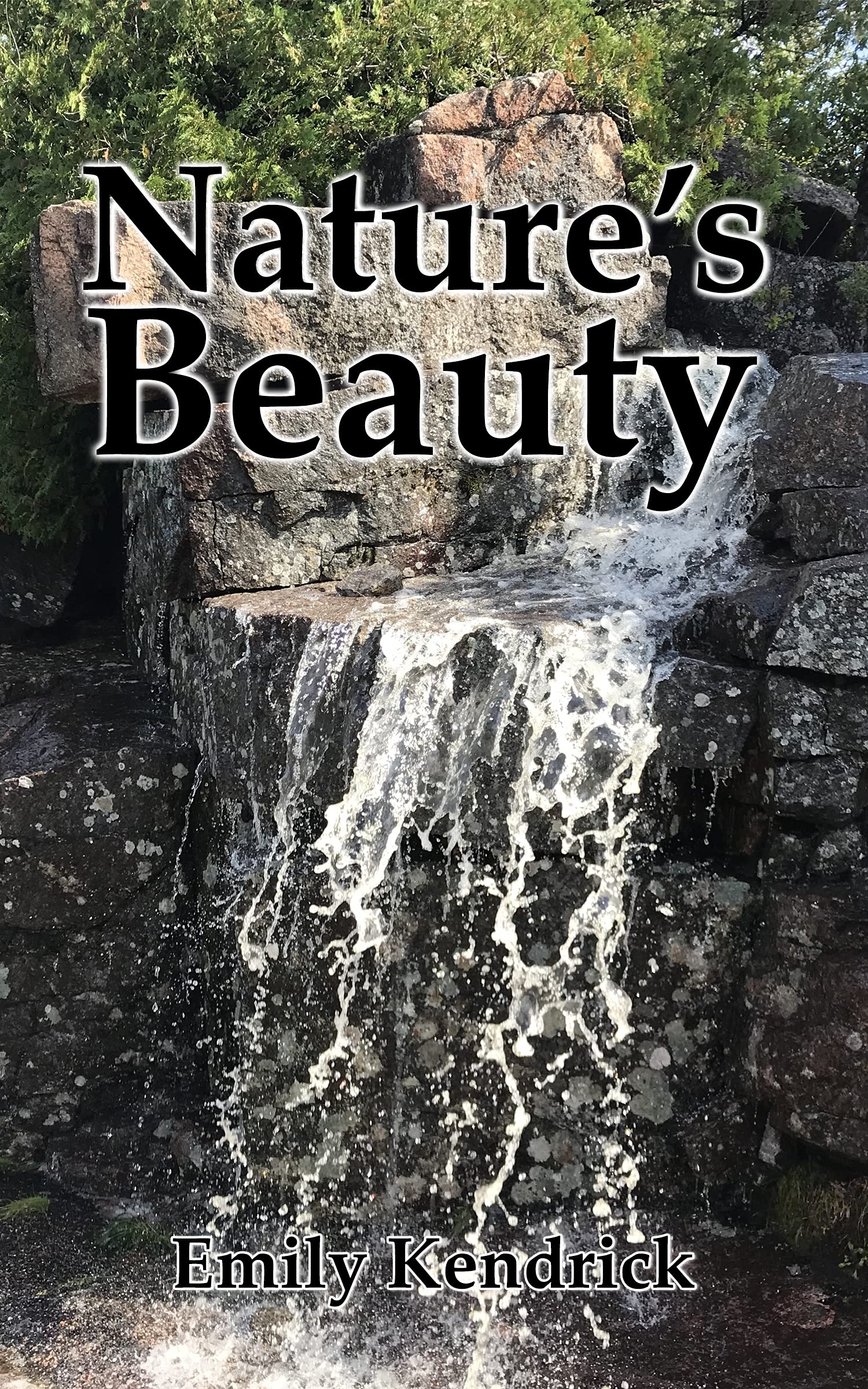 Nature's Beauty : Small Noticings of Nature by Emily Kendrick | Goodreads