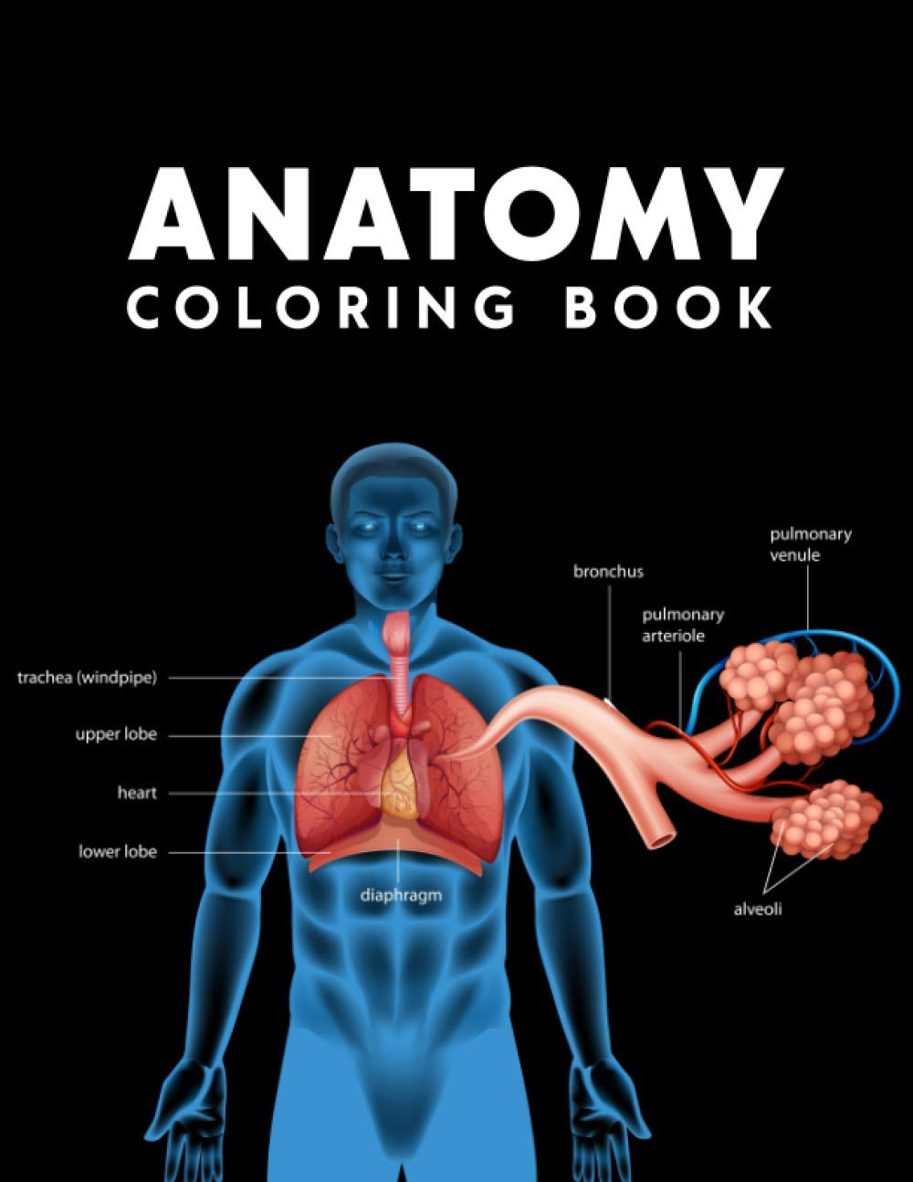Anatomy Coloring Book: Human Anatomy Coloring Book for Adults, Teens ...