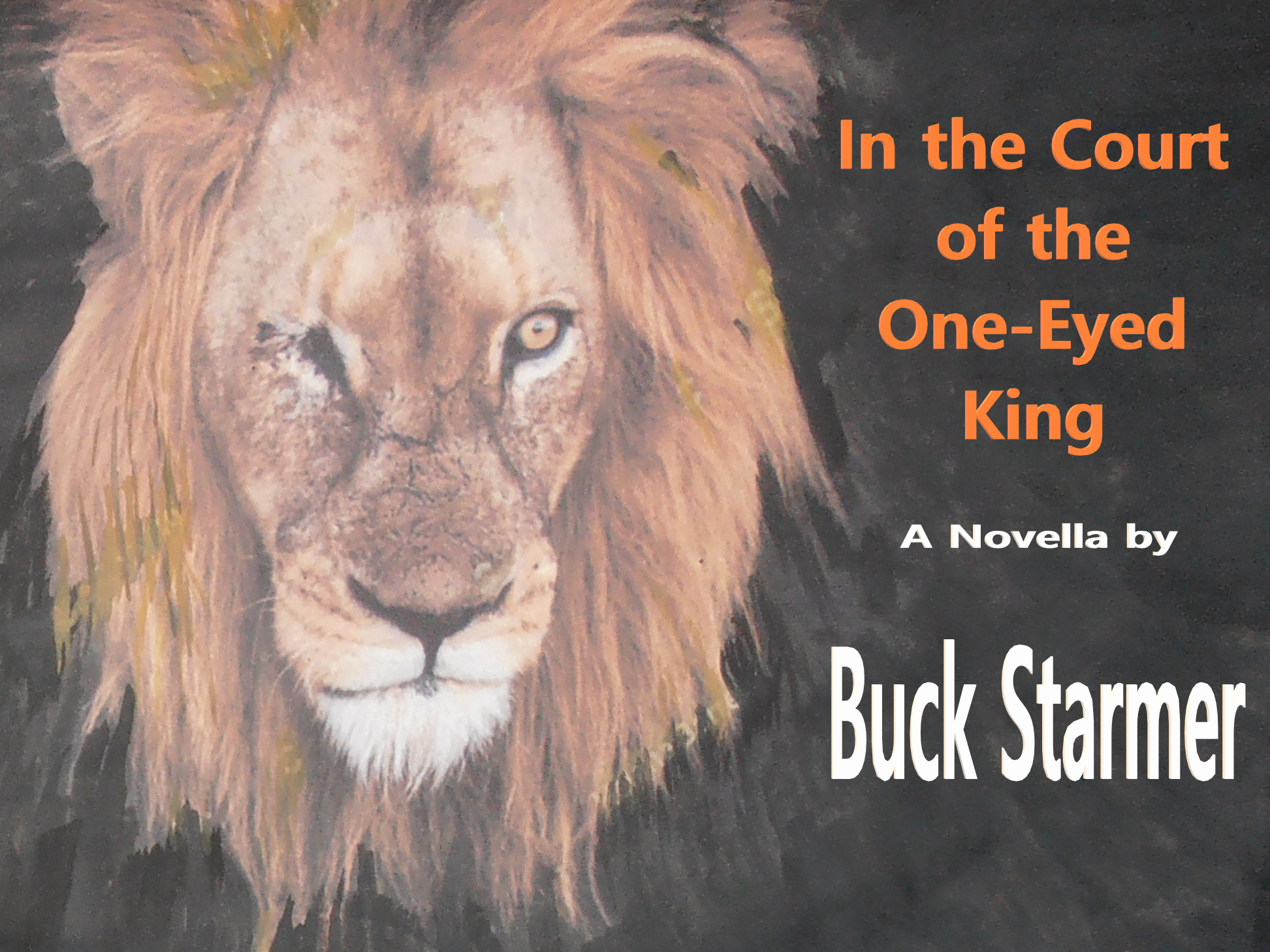 In The Court of the One-Eyed King by Buck Starmer | Goodreads