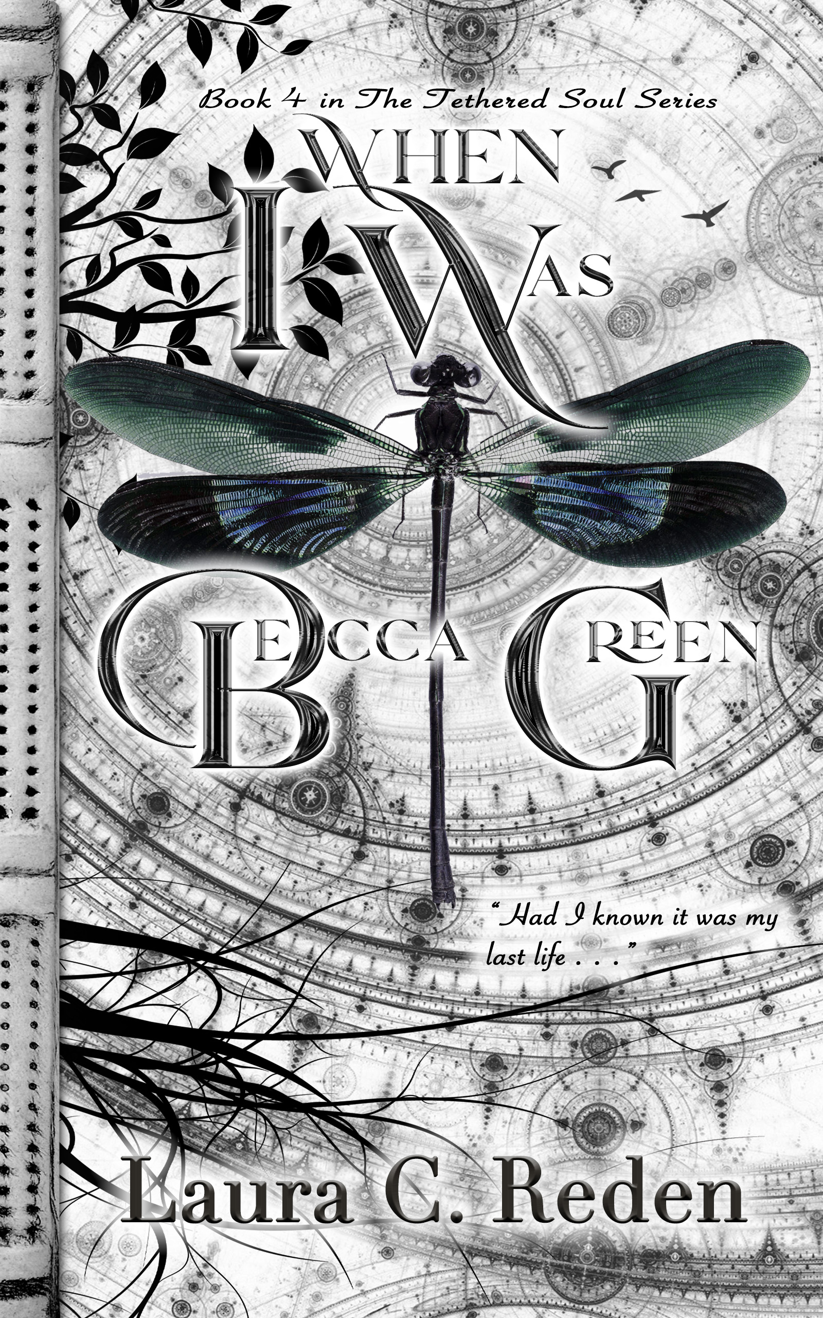 When I Was Becca Green (The Tethered Soul, #4) by Laura C. Reden ...