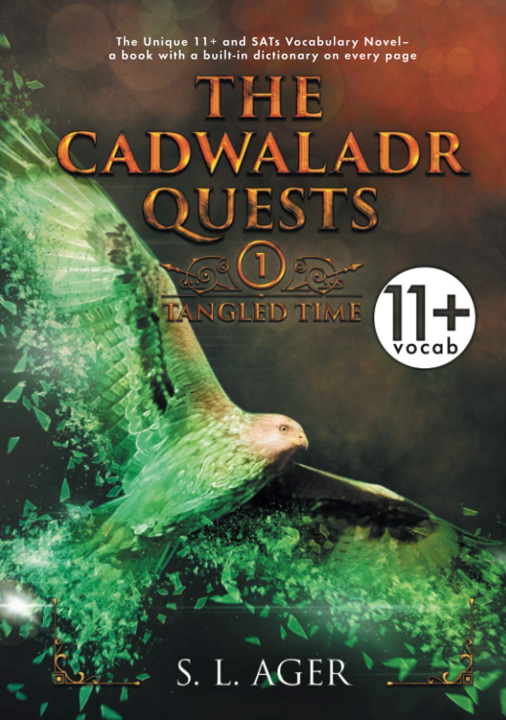 The Cadwaladr Quests (Book One: Tangled Time): The Unique 11+ and SATs ...