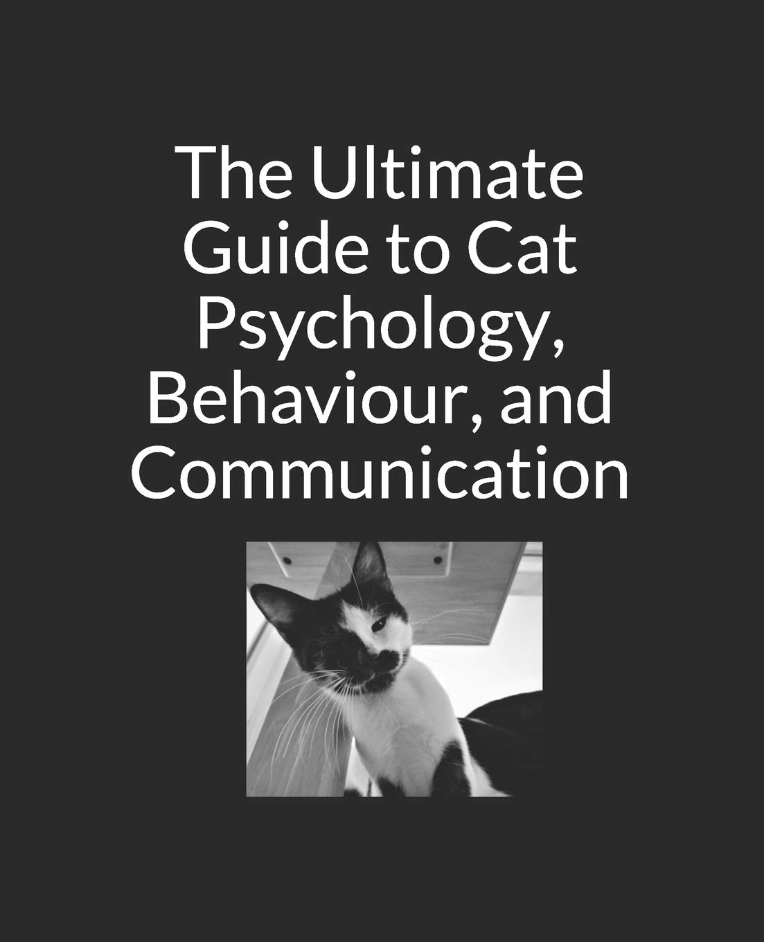 The Ultimate Guide to Cat Psychology, Behaviour, and Communication ...