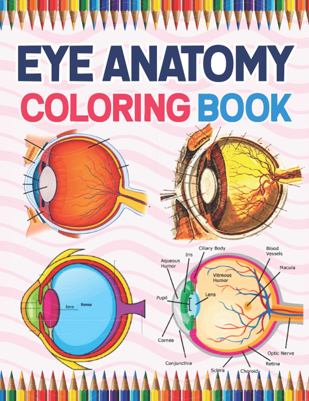 Eye Anatomy Coloring Book: Human Eye Anatomy Student's Self-test ...