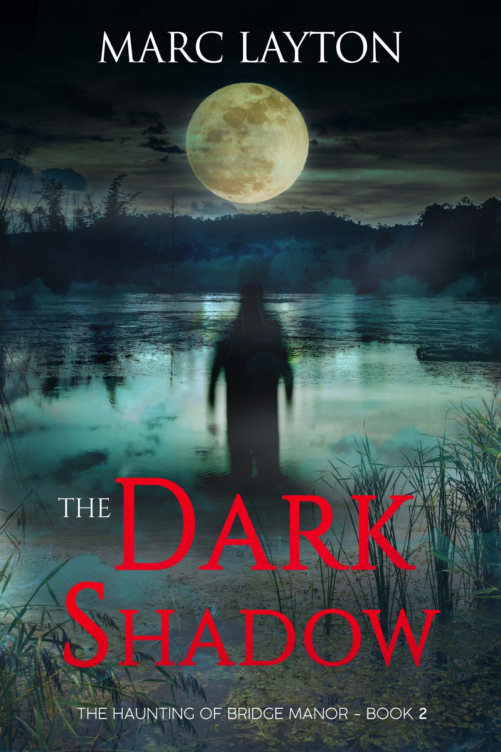 The Dark Shadow (Haunting of Bridge Manor Trilogy #2) by Marc Layton ...