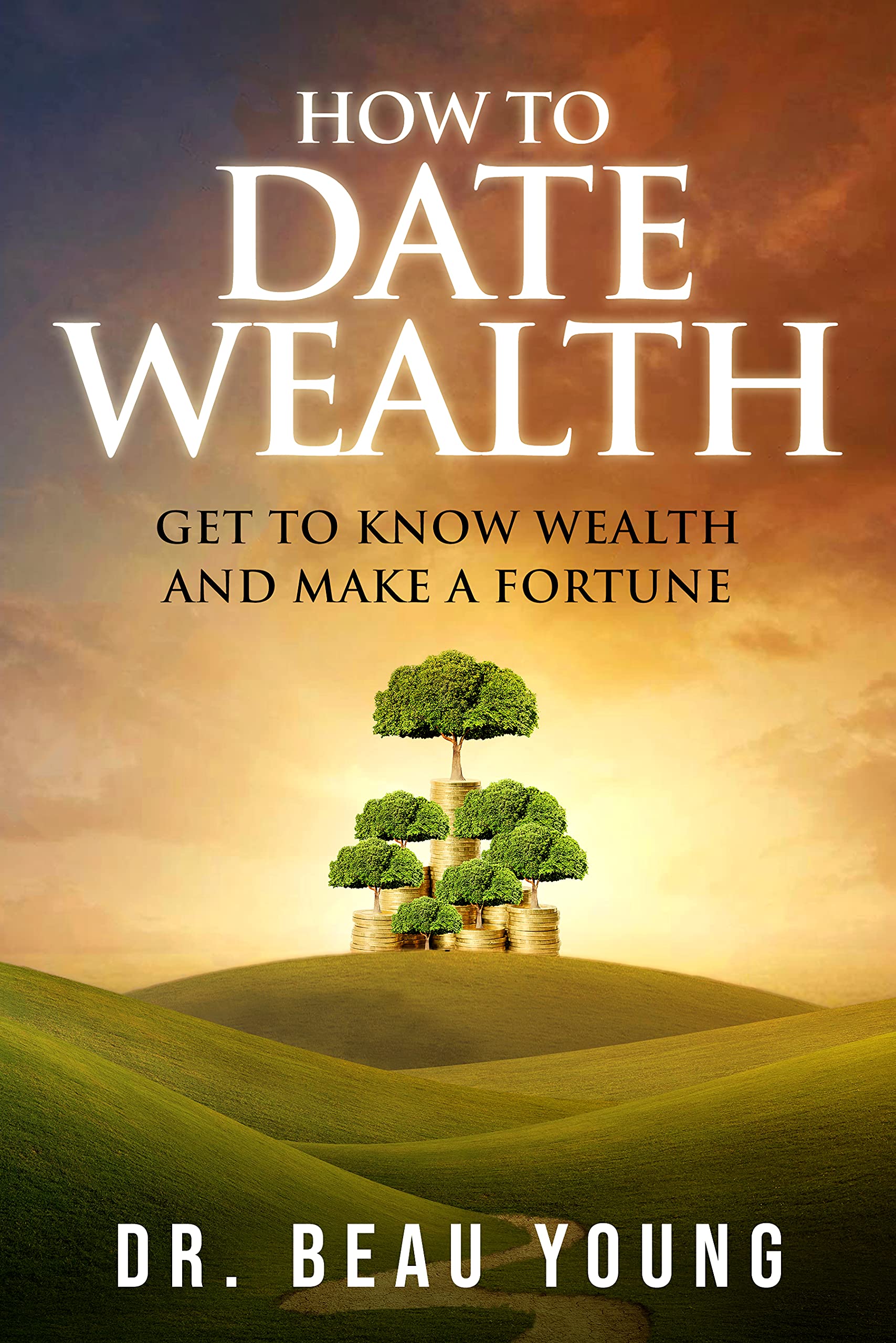 HOW TO DATE WEALTH: GET TO KNOW WEALTH AND MAKE A FORTUNE by Beau Young ...