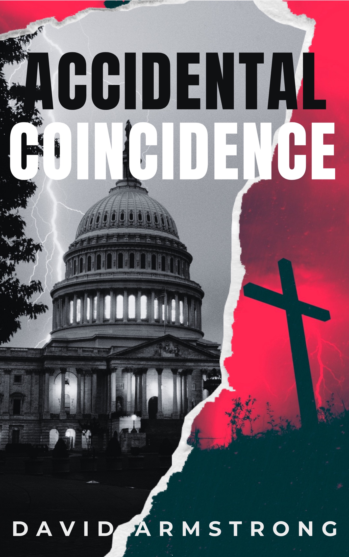 Accidental Coincidence: The Resurrection of Mary by David Armstrong ...
