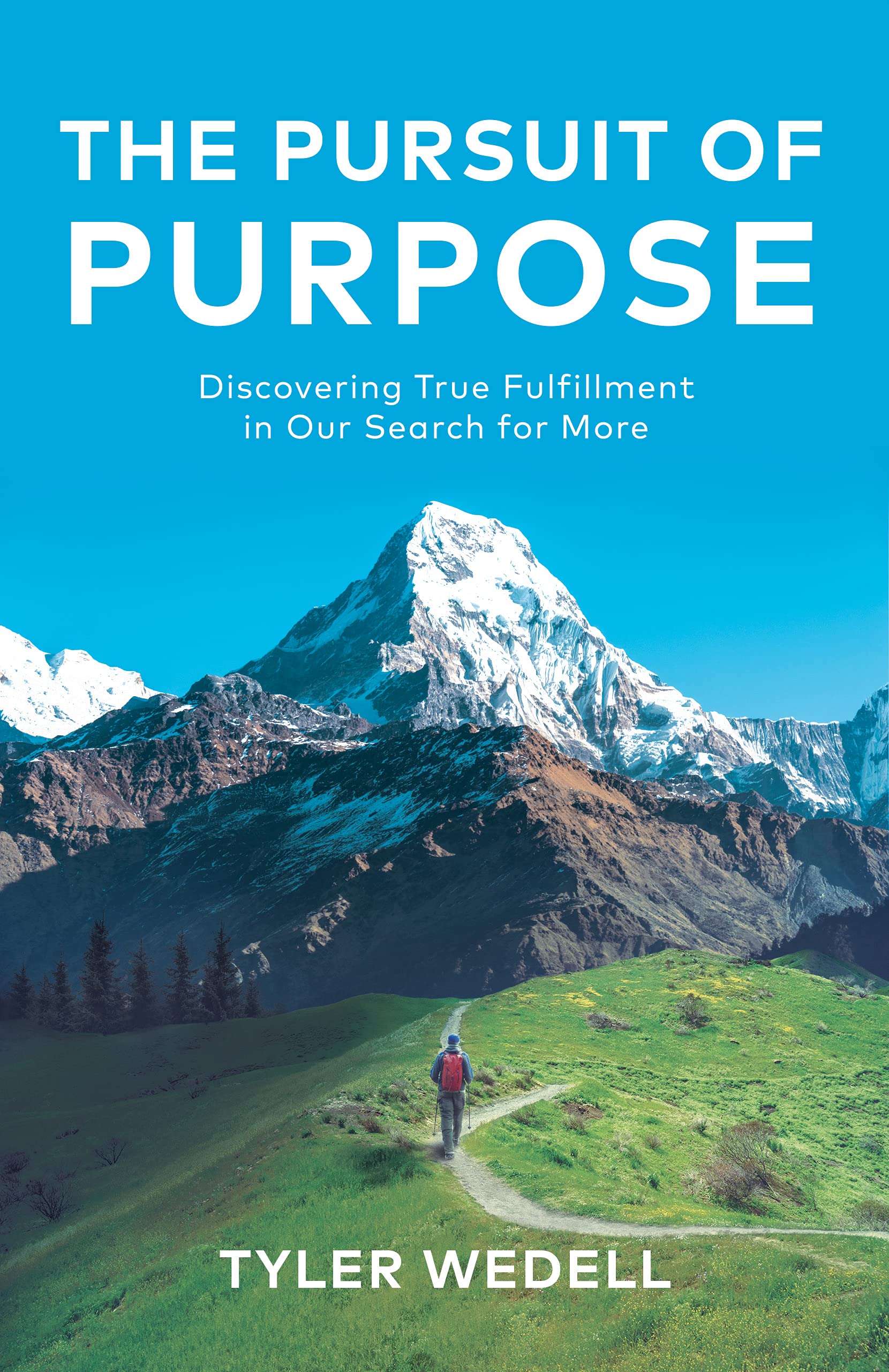 The Pursuit of Purpose: Discovering True Fulfillment in Our Search for ...