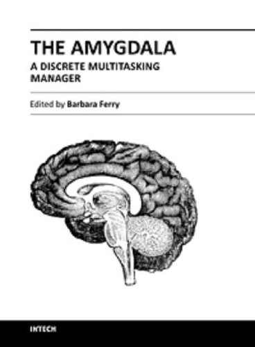 The Amygdala - A Discrete Multitasking Manager by Barbara Ferry | Goodreads